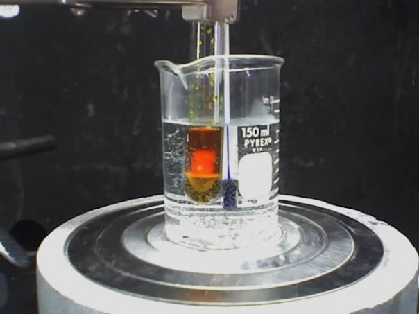 Teste de Brady | Laboratório Online - FCiências